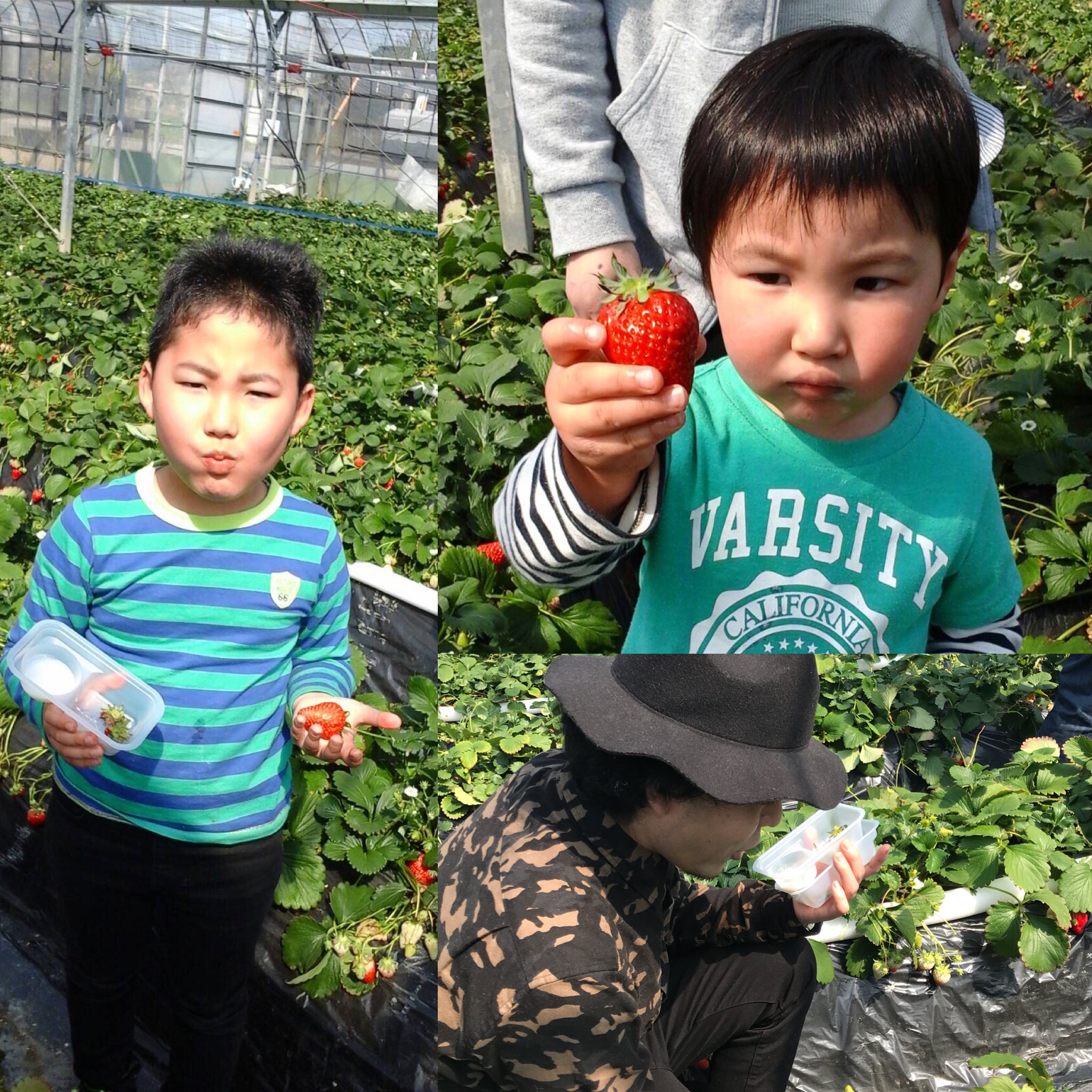 いちご狩り♬ | 千葉・市原・茂原・佐倉の美容院・美容室クリック（CLiC）ディックス（dix）